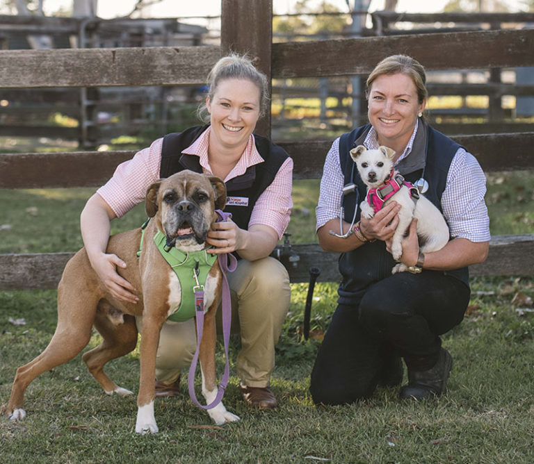 Meet the Team | Orange Vet Hospital