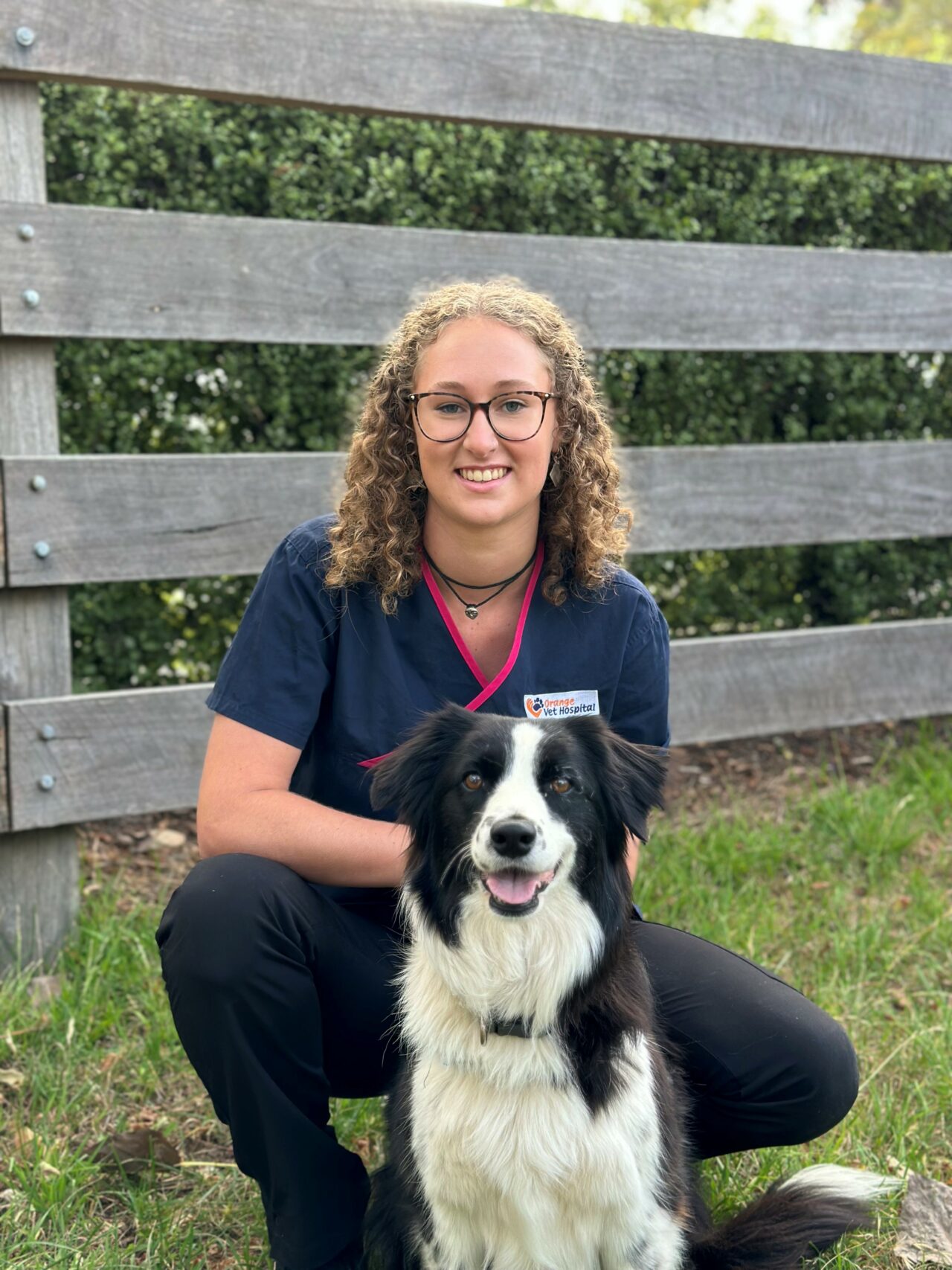 Meet the Team | Orange Vet Hospital