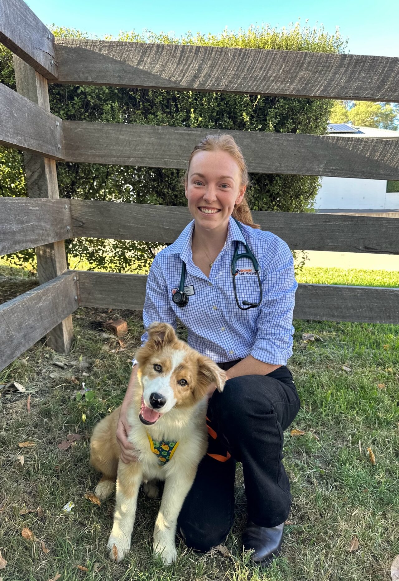 Meet the Team | Orange Vet Hospital