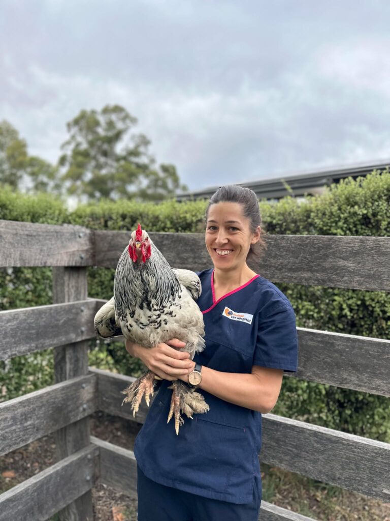 Meet the Team | Orange Vet Hospital
